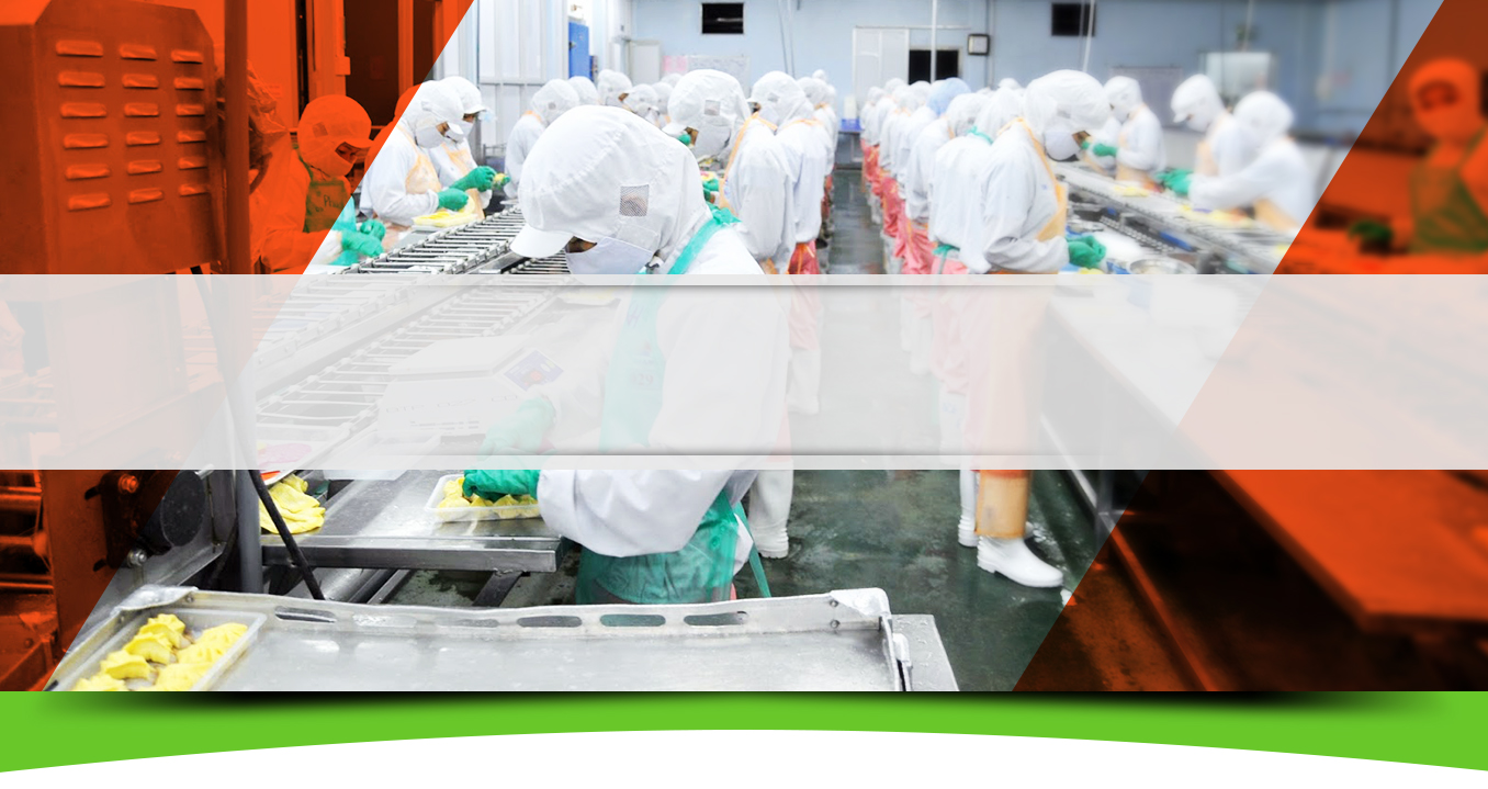 Biorem – Bacteria para trampas de grasa y drenaje sanitarios