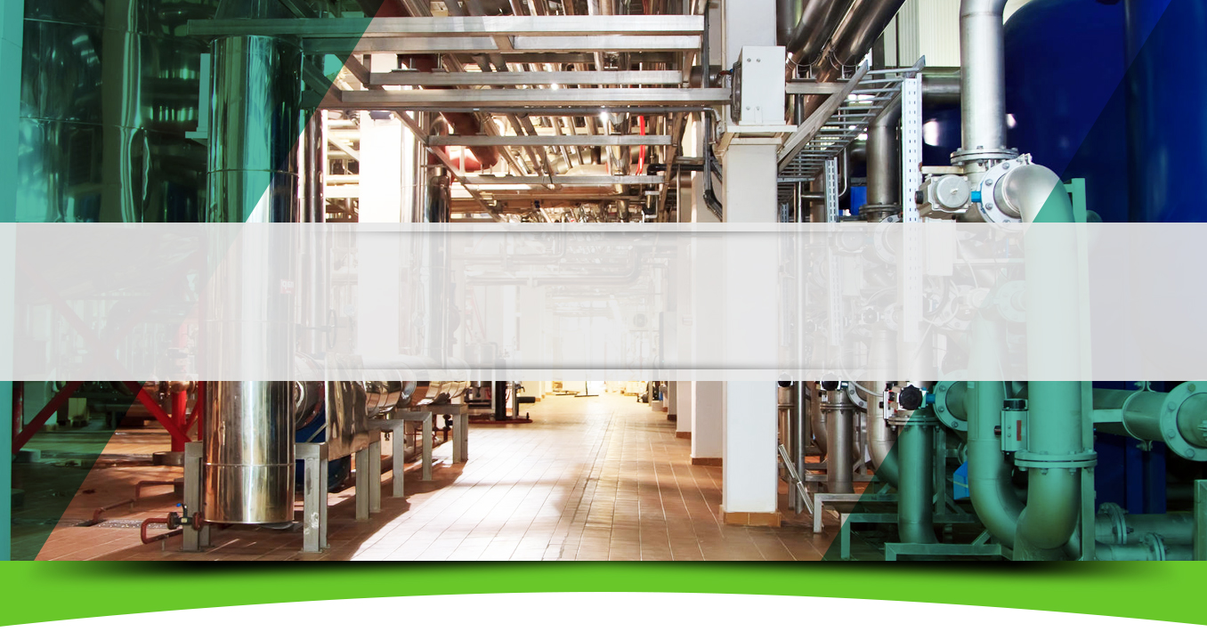 Biorem – Bacteria para trampas de grasa y drenaje sanitarios